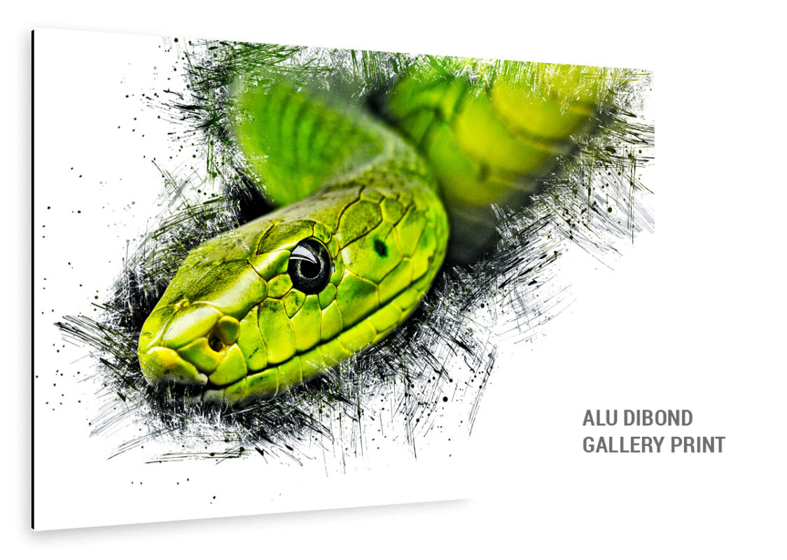 Snake Ink Art Bild - Kunstvolle Illustration von Mik Roge